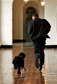 The Obama’s New Dog – Pet Project